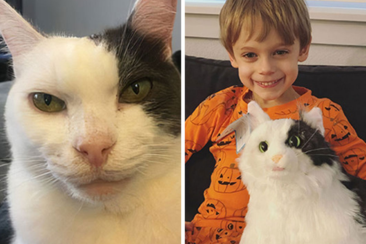35 Personalized Plushies That Let People Hug Their Lost Pets Once Again ...