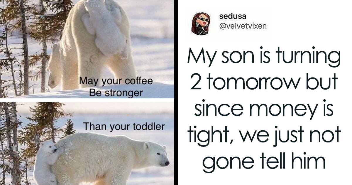 40 Memes That Hilariously Sum Up What Pregnancy And Being A Parent Are ...