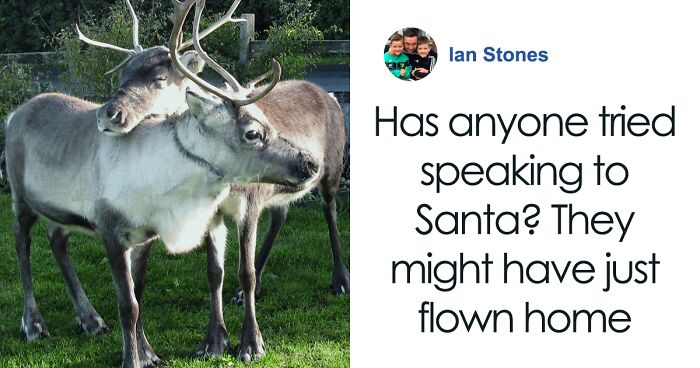Reindeer Found On Suffolk’s A-Road After Running Away From ‘Santa’s ...