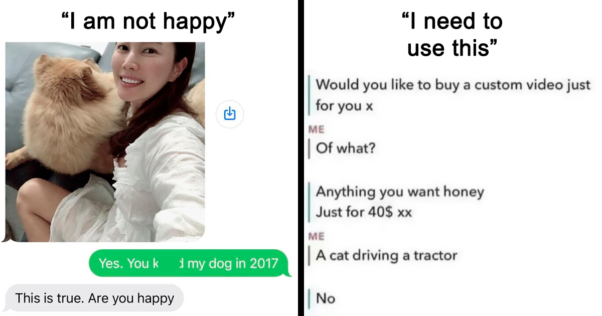 45 Times Scammers Messaged The Wrong Person And Got Hilariously Owned ...