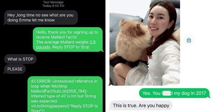 45 Times Scammers Messaged The Wrong Person And Got Hilariously Owned ...