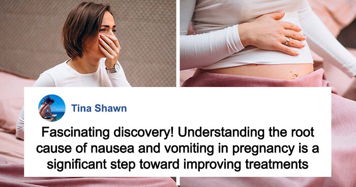 Doctors Finally Identify Root Cause Of Morning Sickness During First ...