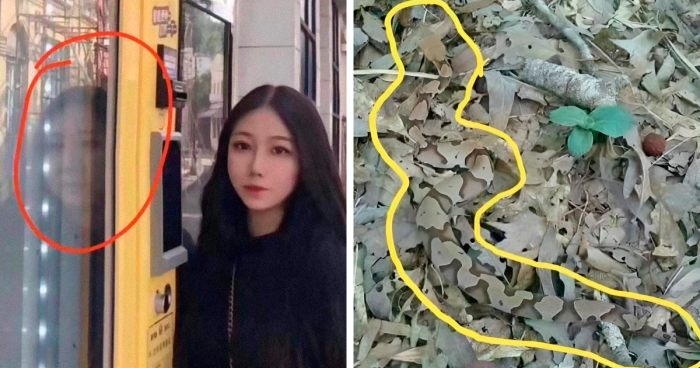 50 Hilarious Instances Of Red Circles Being Incredibly Useful | Bored Panda