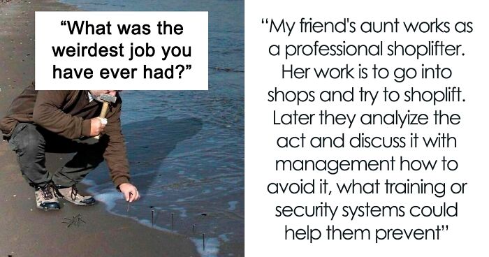 35 Stories About The Weirdest Jobs That People Had The Opportunity To ...
