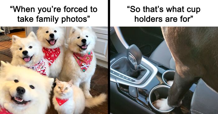 35 Wholesome Memes To Restore Your Faith In Humanity