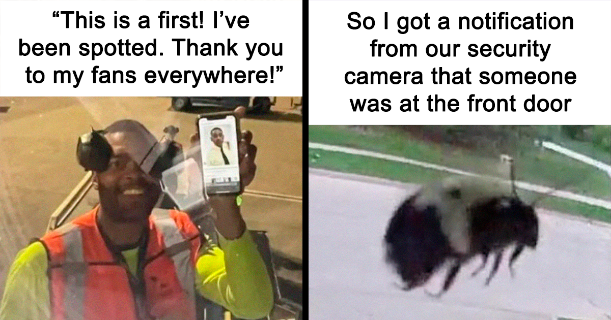 50 Of The Most Cheerful And Wholesome Posts Shared In This Dedicated ...