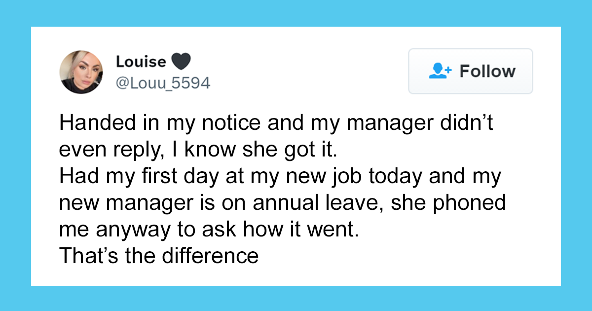 40 Anti-Work Memes From Workipedia To Help You Get Through Another Day ...