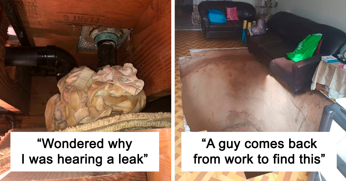 Home Inspectors Share The Funniest And Most Questionable Things They’ve ...