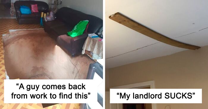 Home Inspectors Share The Funniest And Most Questionable Things They’ve ...