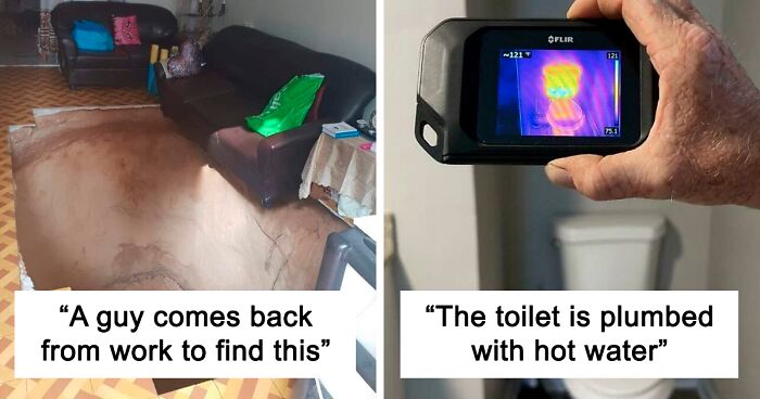 Home Inspectors Share The Funniest And Most Questionable Things They’ve ...