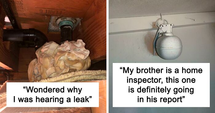 Home Inspectors Share The Funniest And Most Questionable Things They’ve ...
