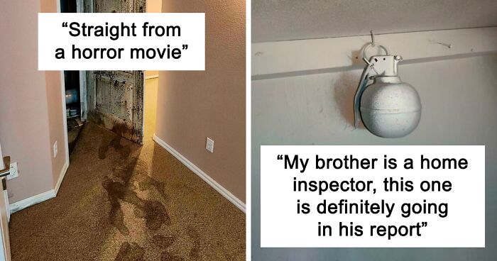 Home Inspectors Share The Funniest And Most Questionable Things They’ve ...