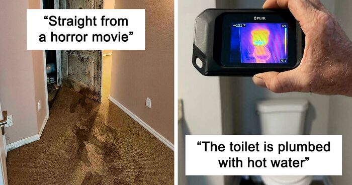 Home Inspectors Share The Funniest And Most Questionable Things They’ve ...