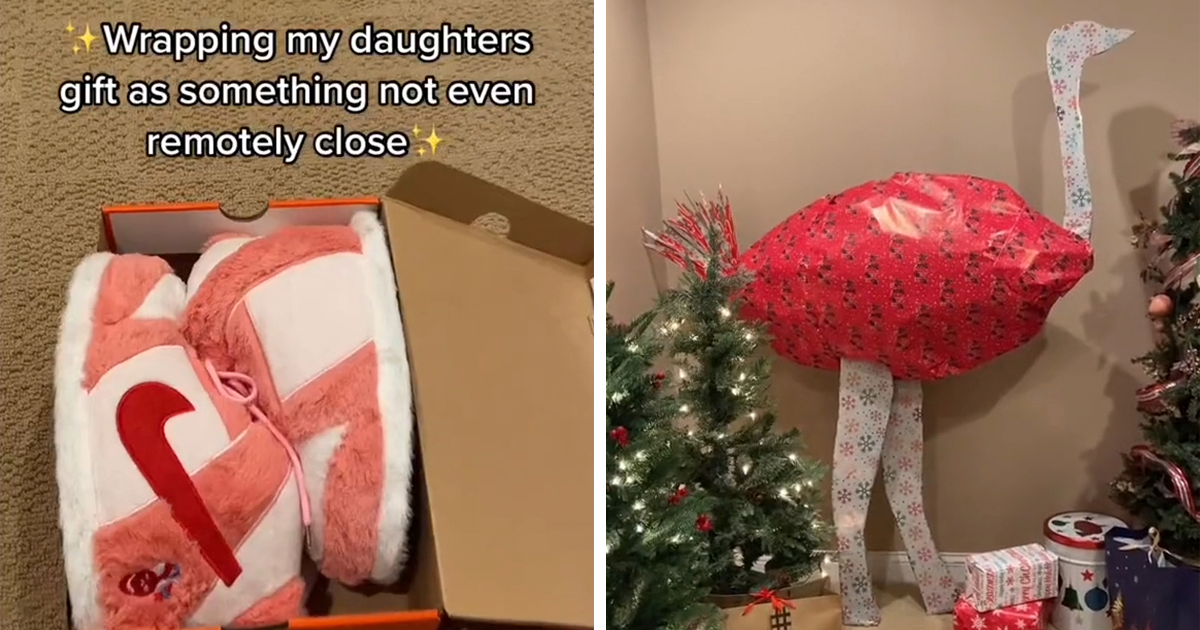 Person Hides What Their Actual Gifts Are, And The Results Are ...