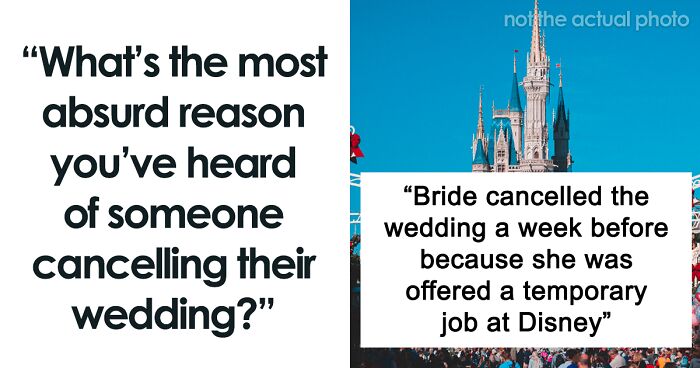 40 Hilariously Unhinged Reasons People Ended Their Wedding Plans