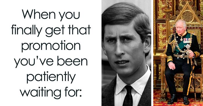 50 Funny Work Memes To Take Your Mind Off Of Emails And Deadlines For ...