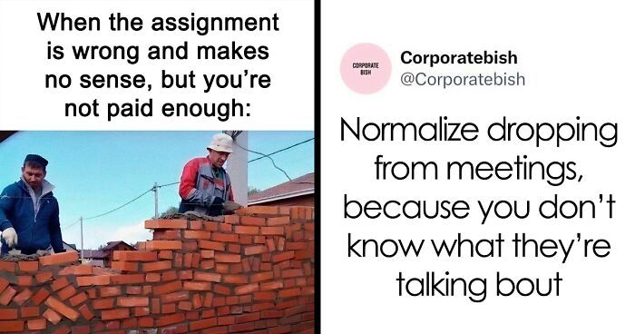 50 Funny Work Memes To Take Your Mind Off Of Emails And Deadlines For ...