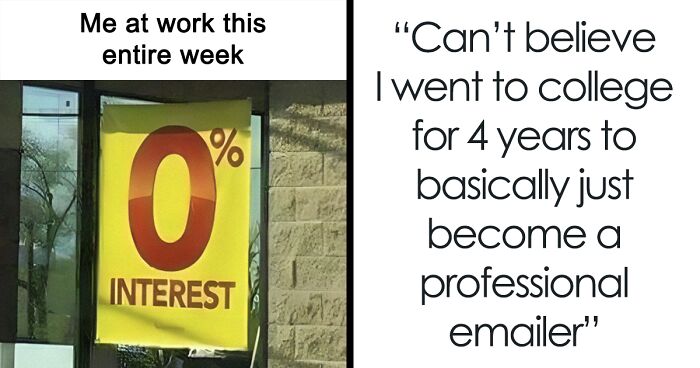 “For People Who Need A Break From The Real World”: 40 Memes From ‘Adult ...