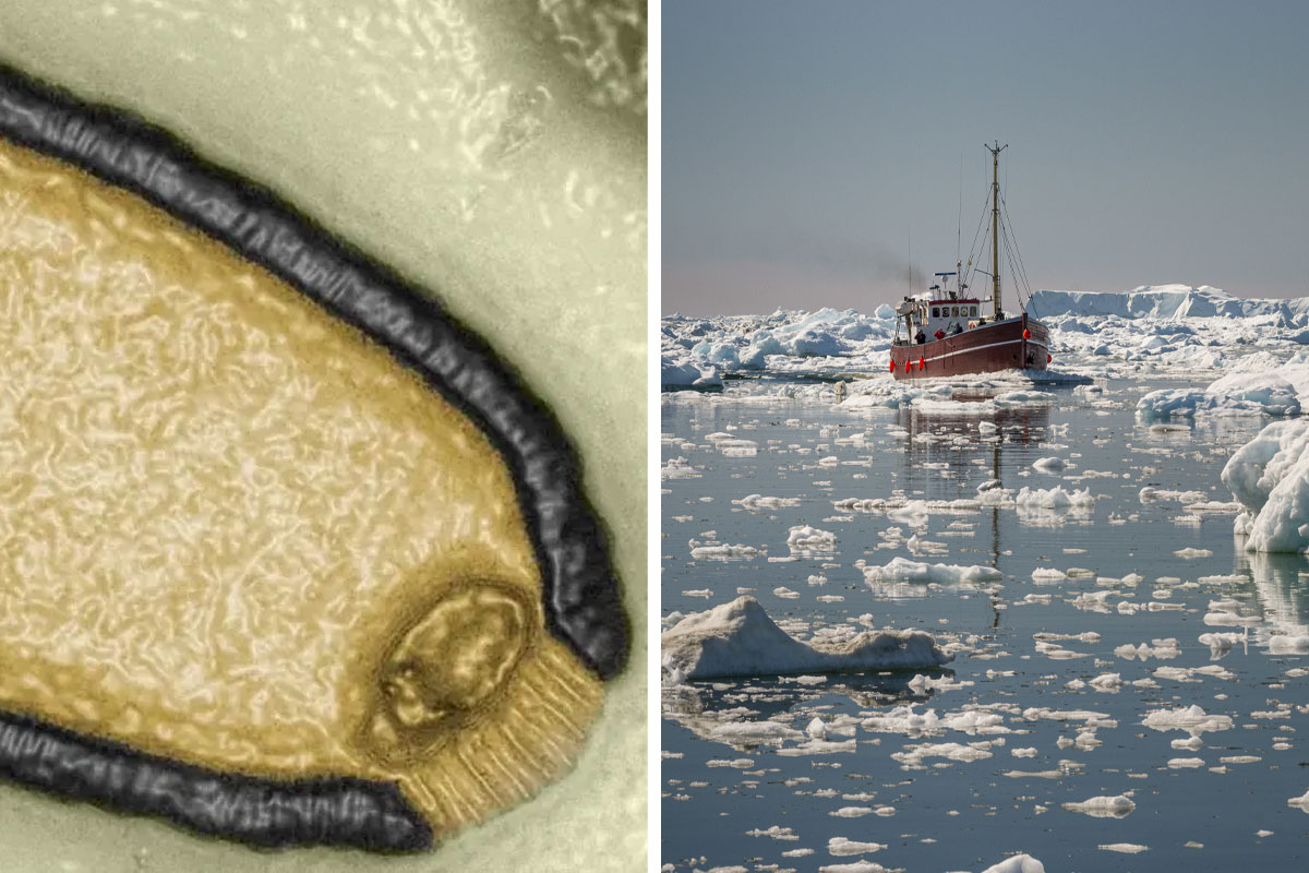 “We Face A Tangible Threat”: Scientists Speak About “Zombie Viruses ...