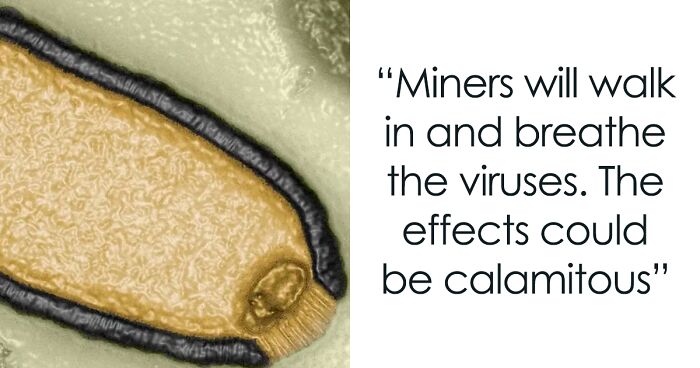 “We Face A Tangible Threat”: Scientists Speak About “Zombie Viruses ...