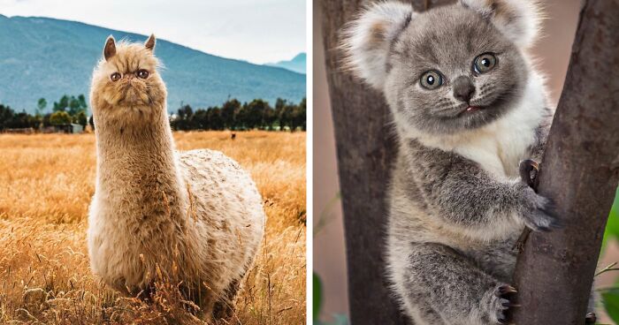 68 Imaginary Creatures That I Photoshopped By Fusing Two Existing Ones ...