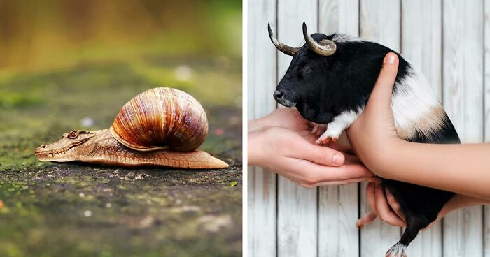 68 Imaginary Creatures That I Photoshopped By Fusing Two Existing Ones | Bored Panda