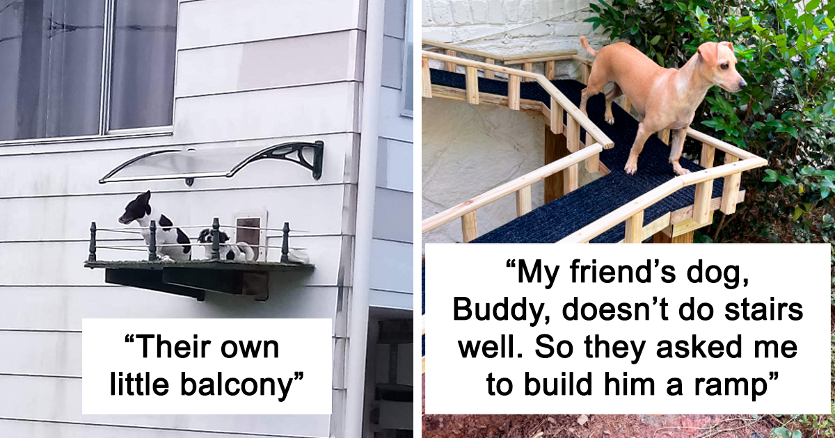 38 Times Dogs Deserved Only The Best Dog Houses And People Accepted The ...