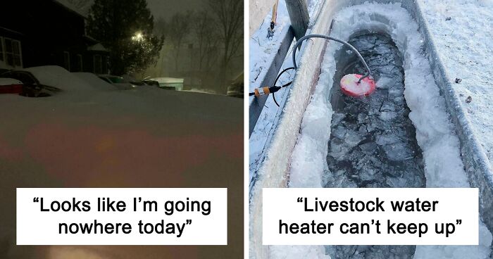 People Are Sharing Just How Cold Canada Got This Winter, And Here Are ...