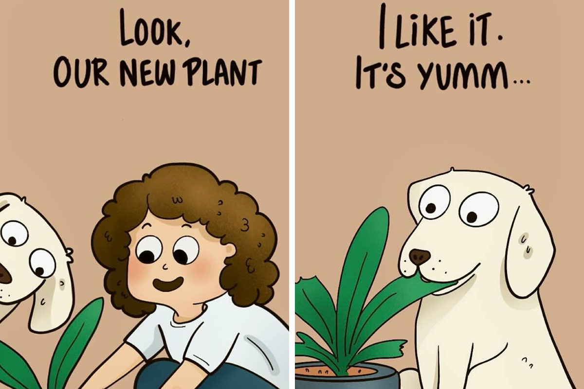 This Artist Makes Wholesome Comics That Show The Unique Dynamic Between ...