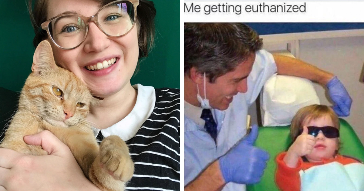 “Enjoy A Last Morbid Meme”: Dutch Woman Has Funny Final Meme Before ...