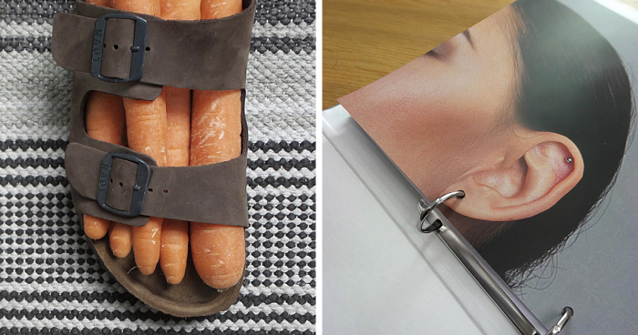 I Blend Two Unrelated Objects Into One Visually Recognizable Piece (35 ...