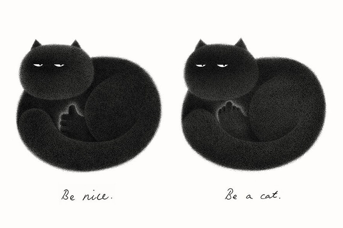 70 New Illustrations By Kamwei Fong Featuring Fluffy And Grumpy Cats ...