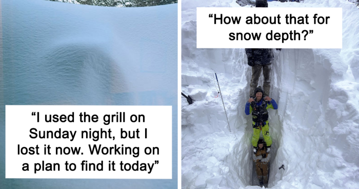 50 Fascinating And Terrifying Pics Of The Power Of Winter (New Pics ...