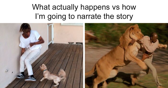 50 Animal Pics That Fit Perfectly Into Memes