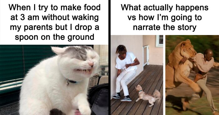50 Animal Pics That Fit Perfectly Into Memes