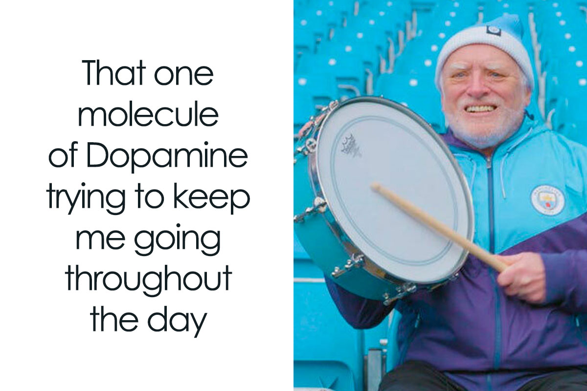 Here’s An Instagram Page Dedicated To Memes That Would Benefit From A ...