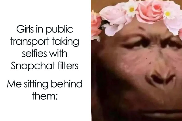 50 Hilariously Relatable ‘Brainy Memes’ To Remind You How You Got That Degree (New Pics) | Bored ...