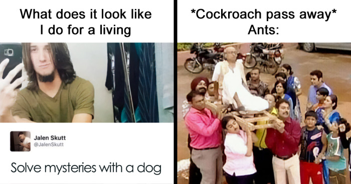 50 Hilariously Relatable ‘Brainy Memes’ To Remind You How You Got That ...