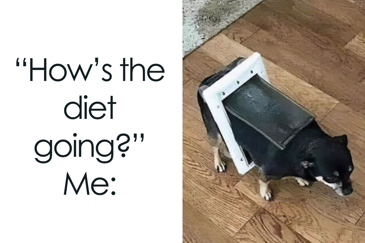 35 Funny And Relatable Memes To Help You Get Through One More Day ...