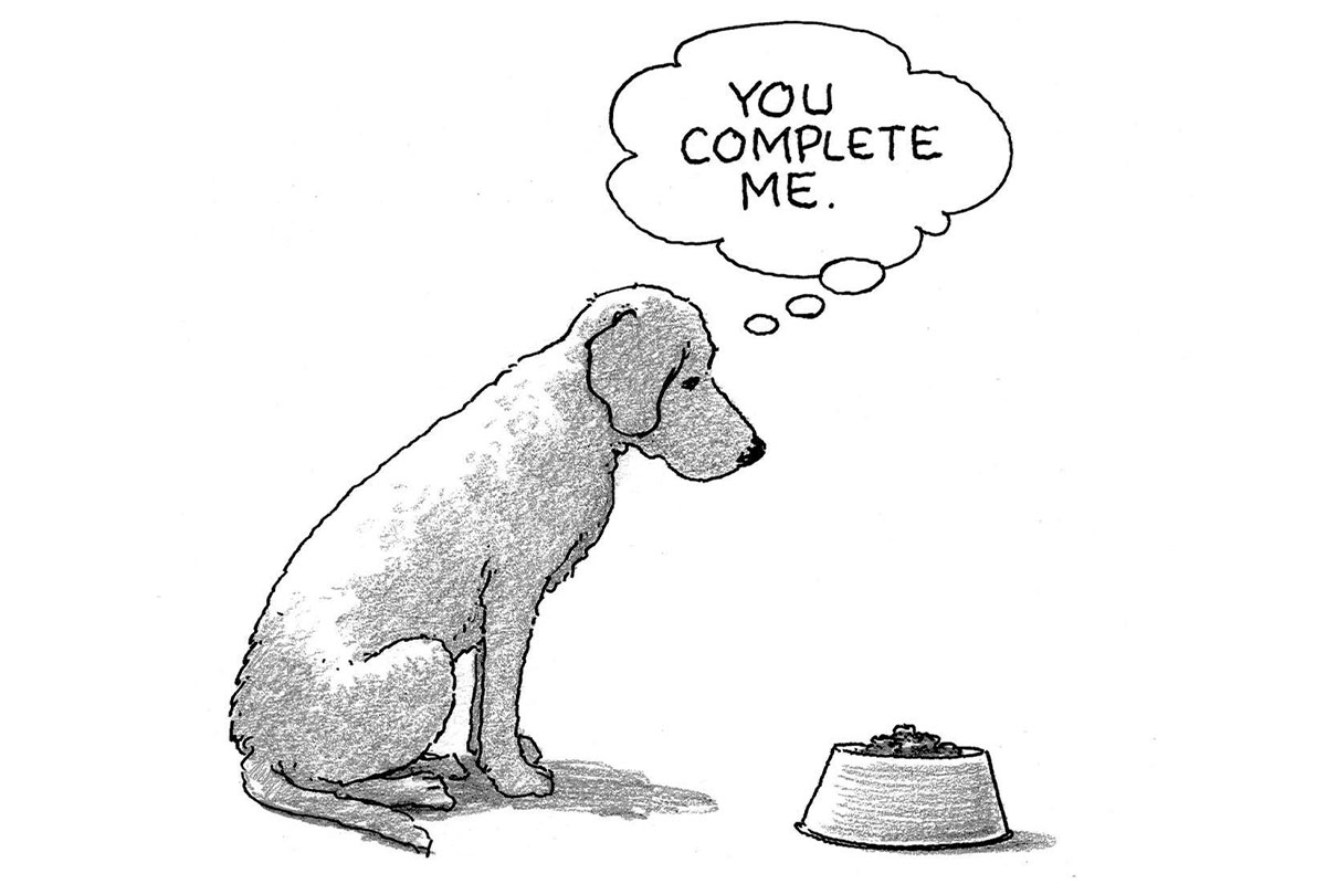 35 Clever One-Panel Comics To Make You Smile By Harry Bliss (New Pics ...