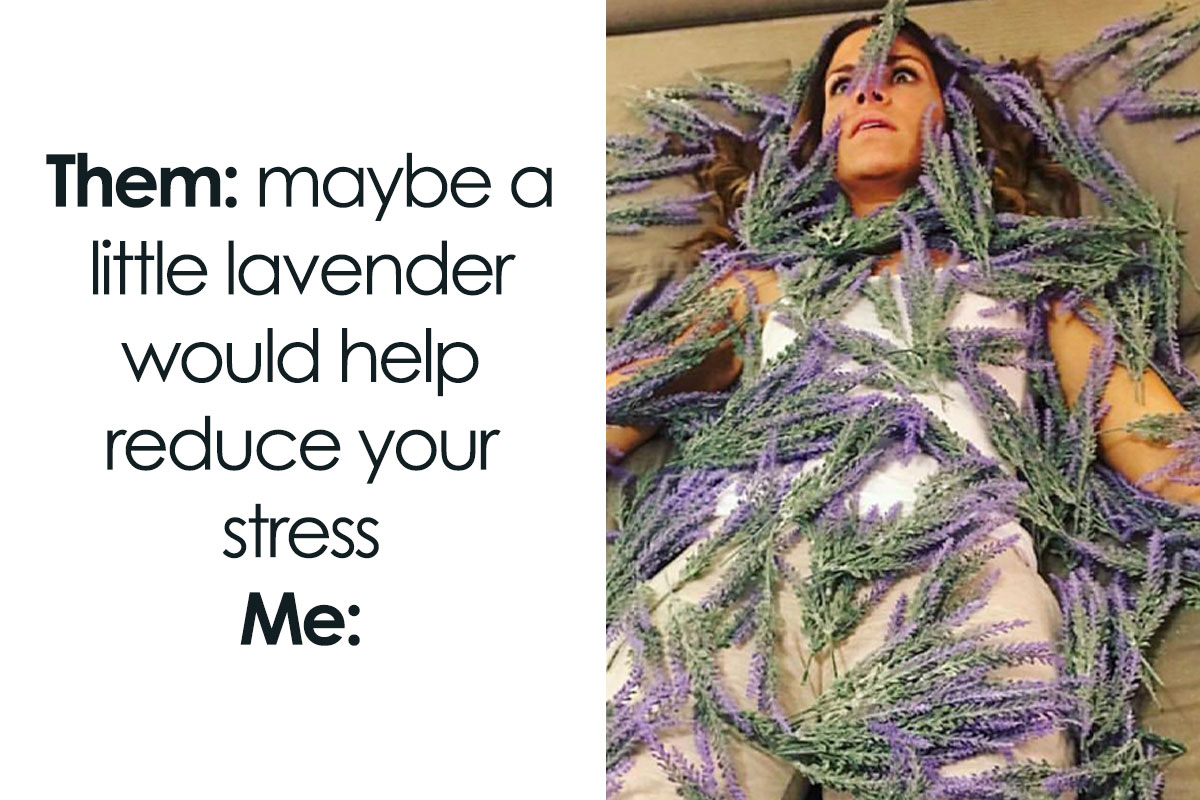40 Funny WFH Memes To Help You Get Through The Work Day | Bored Panda