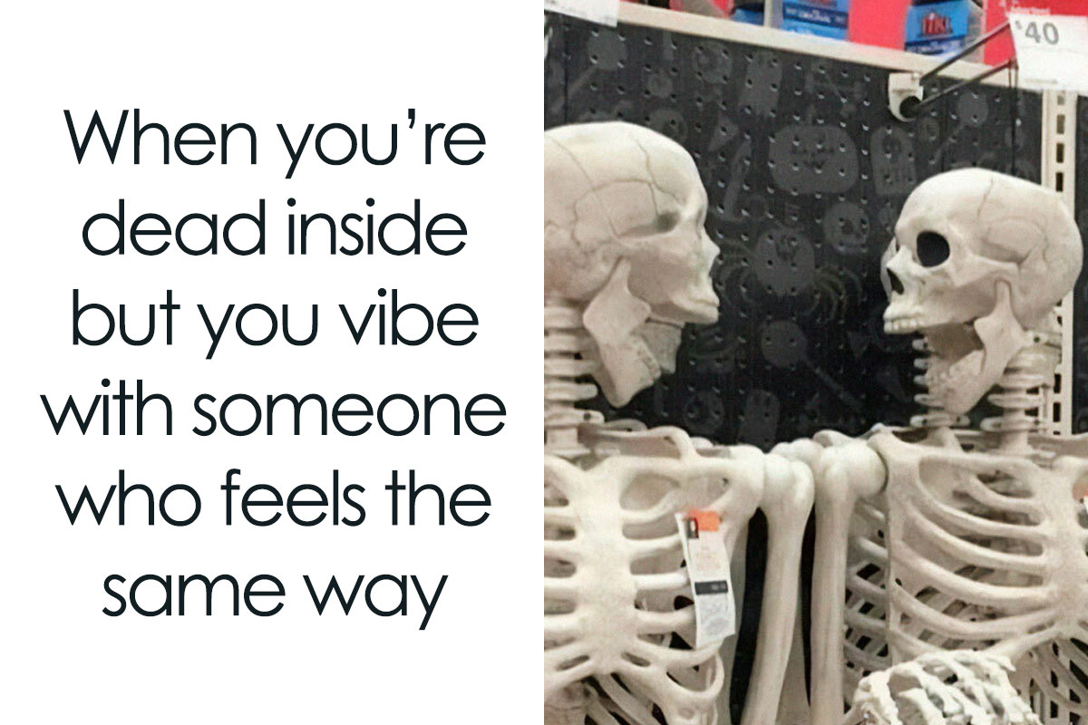 50 Absolutely Spot On Introvert Memes To Make You Snicker Bored Panda