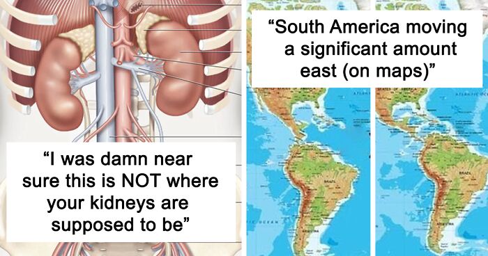 This Group Is Dedicated To Discussing The Mandela Effect, Here Are 30 ...