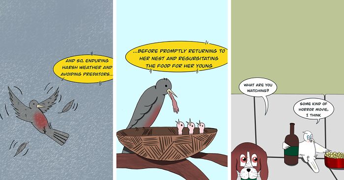 My “Floof n’ Feathers” Comics Are Inspired By The Everyday Antics Of My ...