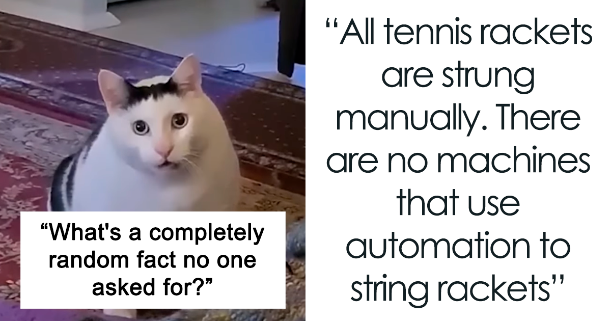 35 Random Facts That Nobody Really Asked For, But They Are Interesting ...