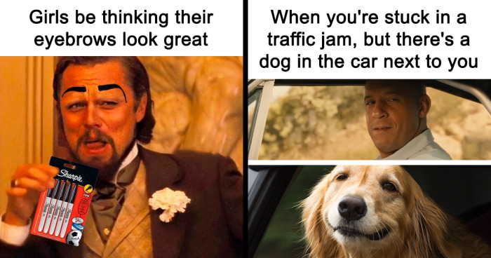 50 Hilarious Memes To Help You Better Express How You’re Feeling Today ...