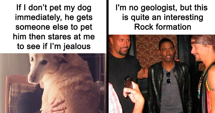 50 Hilarious Memes To Help You Better Express How You’re Feeling Today ...