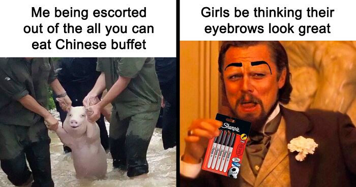 50 Hilarious Memes To Help You Better Express How You’re Feeling Today ...