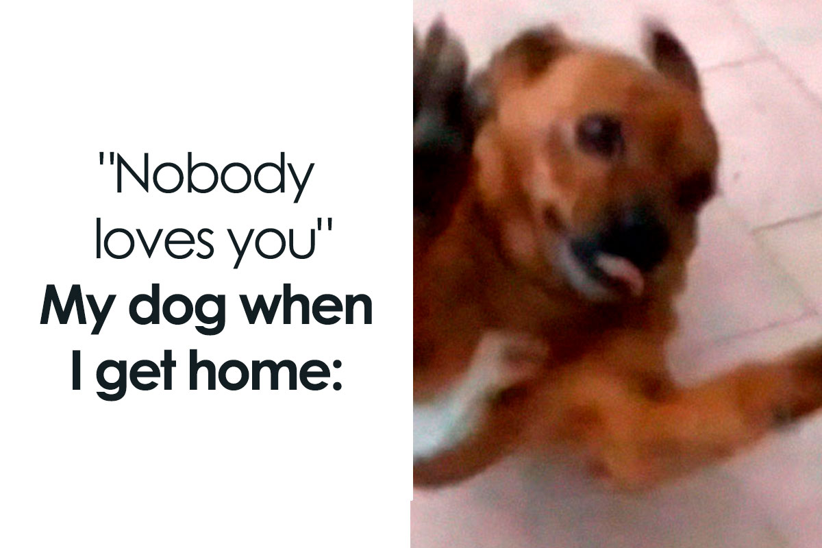 50 Of The Funniest Memes From This IG Account | Bored Panda