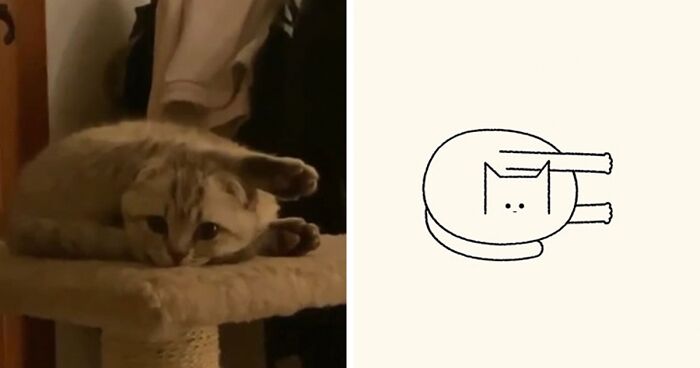 35 New “Daily Purrr” Illustrations Featuring The Funniest Internet ...